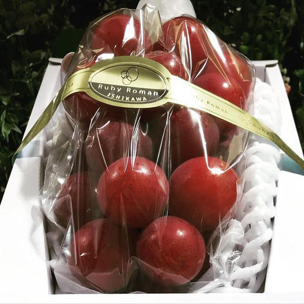 Japanese Ruby Roman Grape Vine, Bare Root, Ishikawa Ruby Roman, ルビーロマン ...