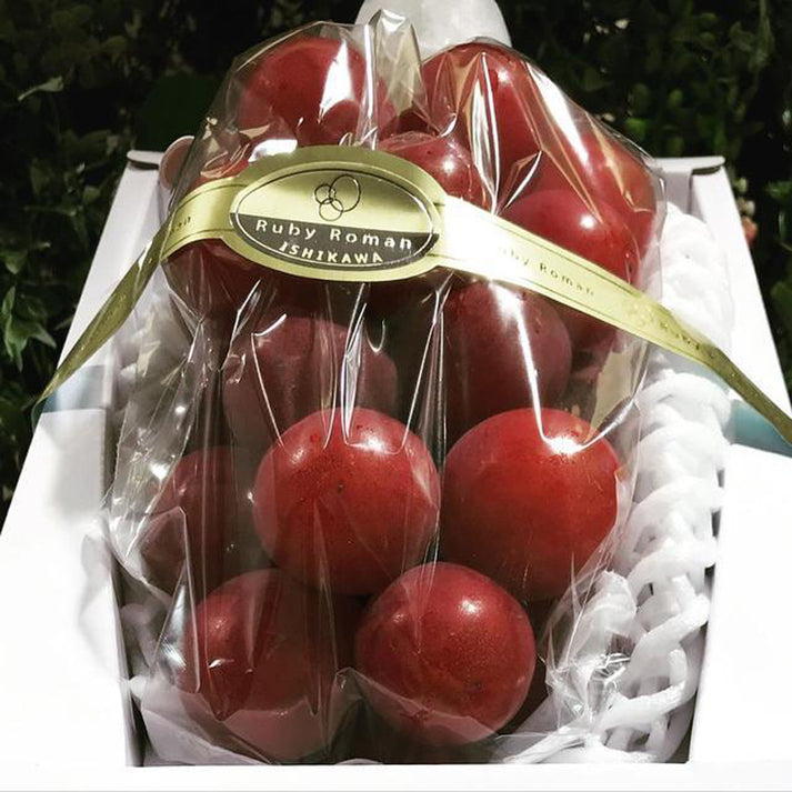 Japanese Ruby Roman Grape Vine, Bare Root, Ishikawa Ruby Roman, ルビーロマン ...